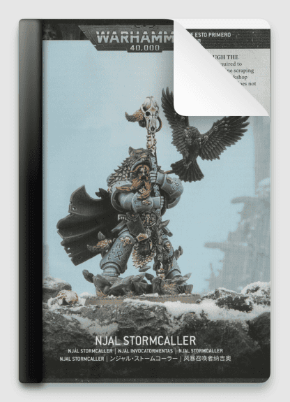 Njal Stormcaller, New 2025 Instructions Free Download - Build Instructions