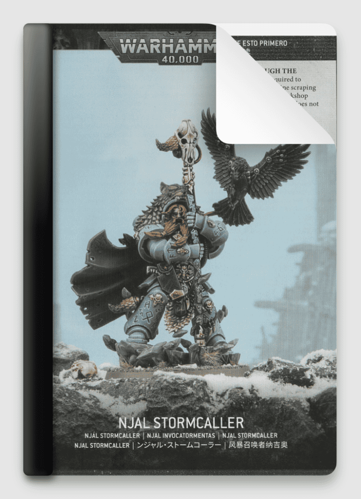 Njal Stormcaller, New 2025 Instructions Free Download - Build Instructions