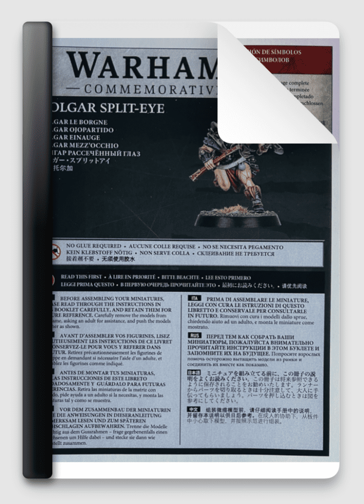 Tolgar Split-Eye Darkoath Chieftain Instructions Free Download - Build ...
